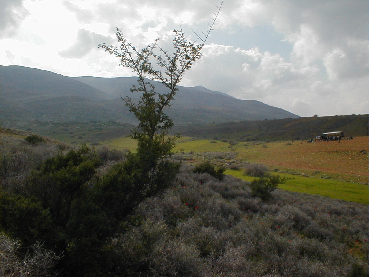 Phylacteries, Tzitzit… today at the Wailing Wall – Prepare the Bride
